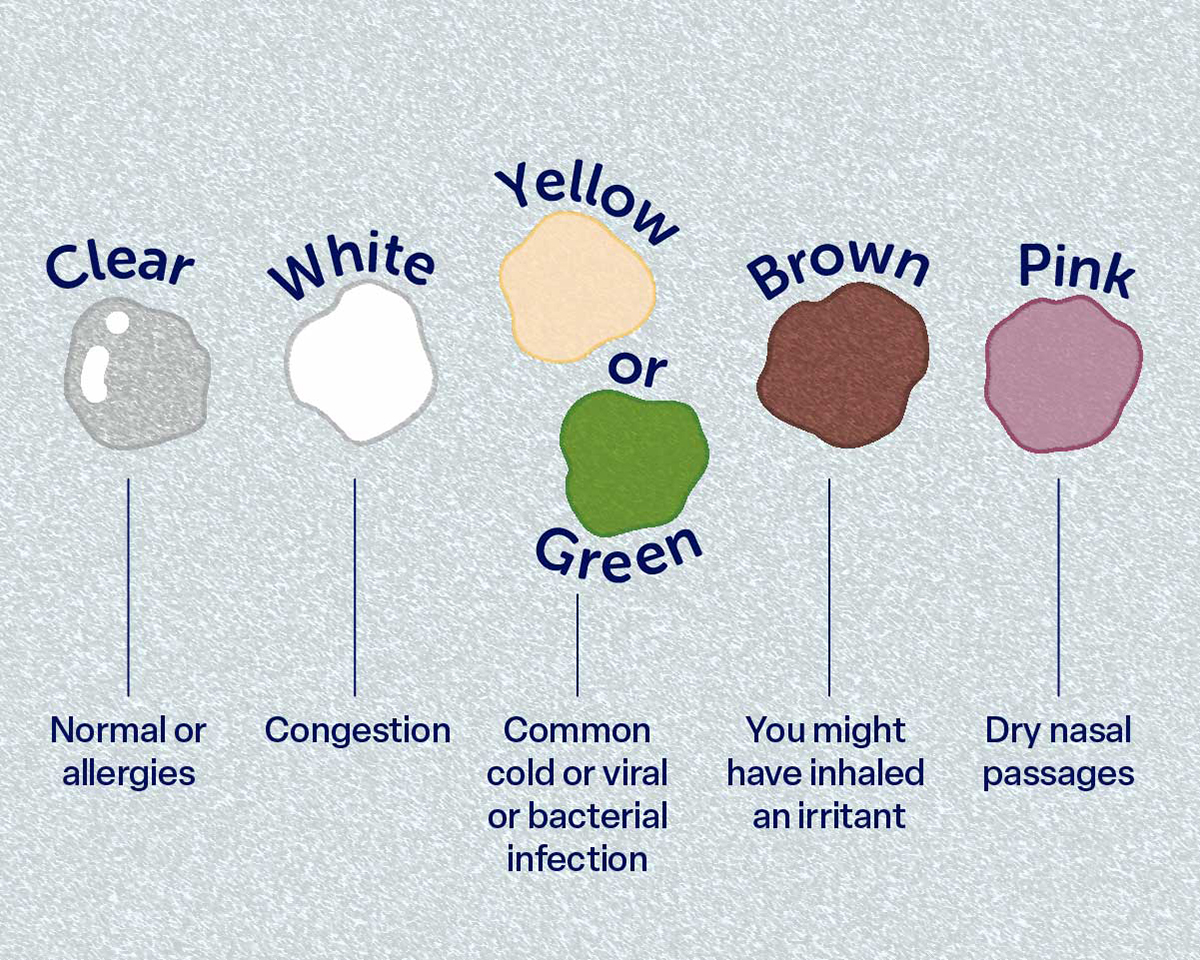 Snot 101 Why does your snot change colors and how you can get rid of it BJC HealthCare